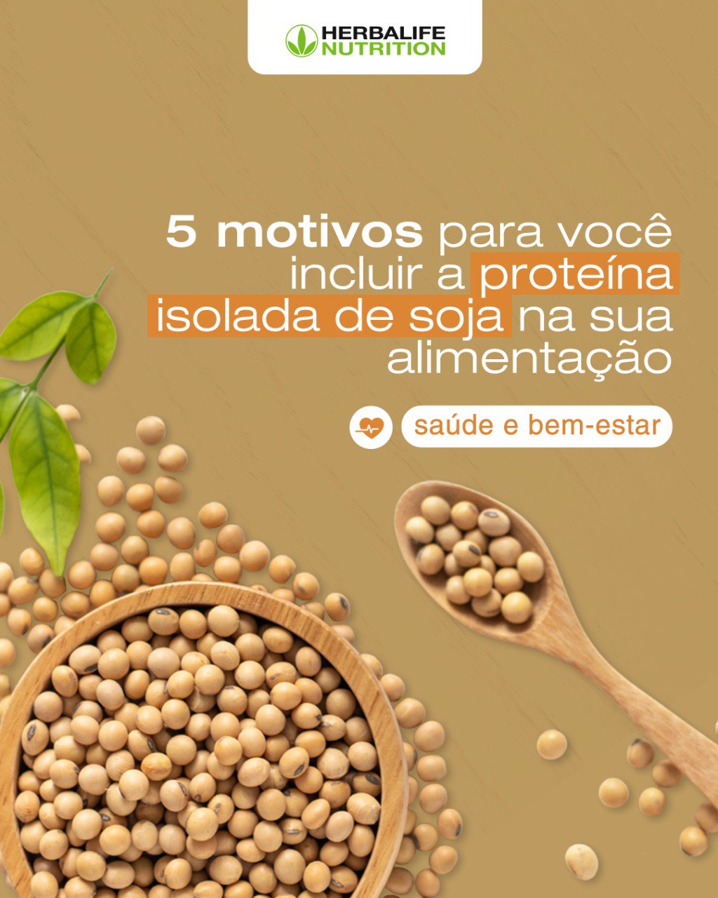 Soja Alimento Completo - Herbalizar
